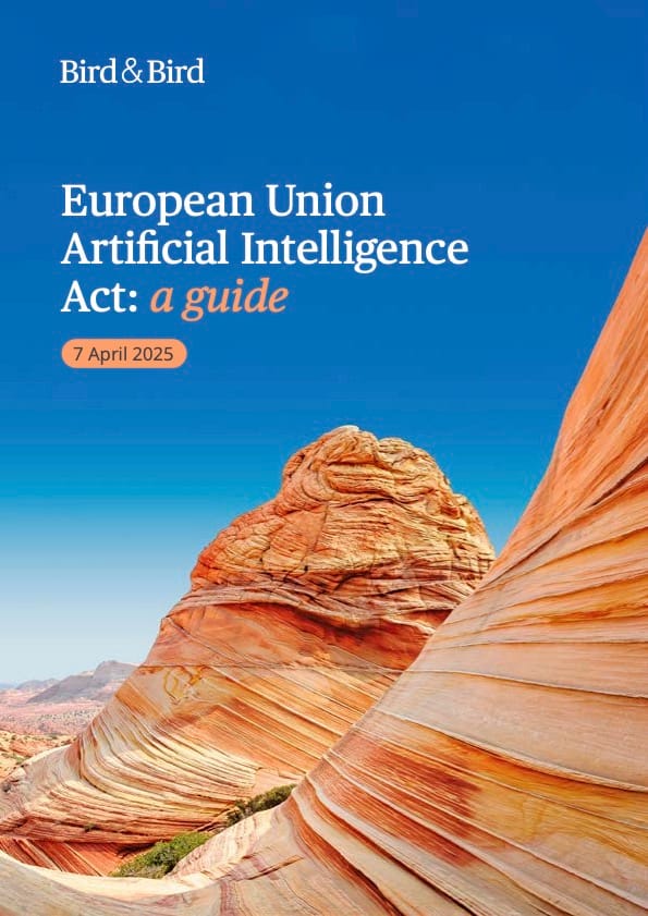 European Union Artificial Intelligence Act: a guide