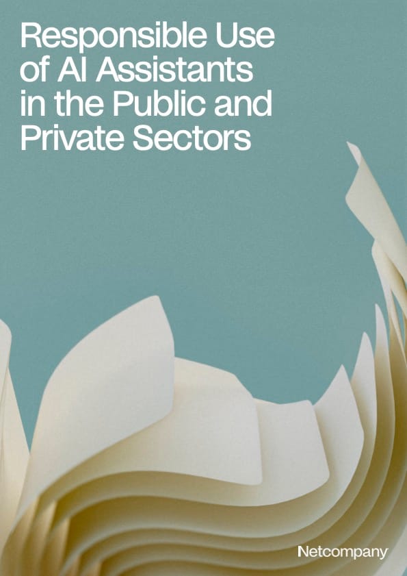 Responsible Use of AI Assistants in the Public and Private Sectors